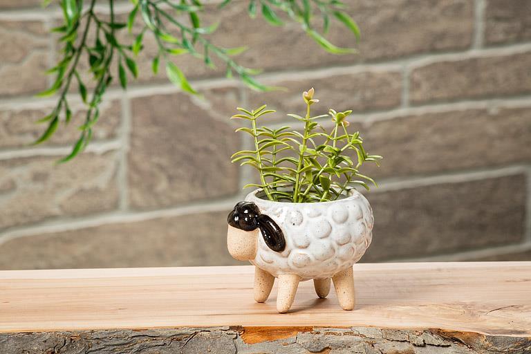 Buy Abbott Sheep Planter Small. Our House Barrie.